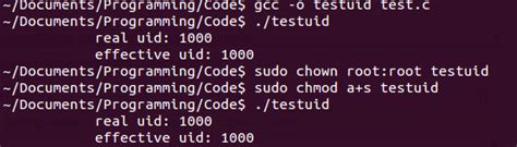 Command Line Effective User Id Does Not Change After Making The File Owned By Root Stack