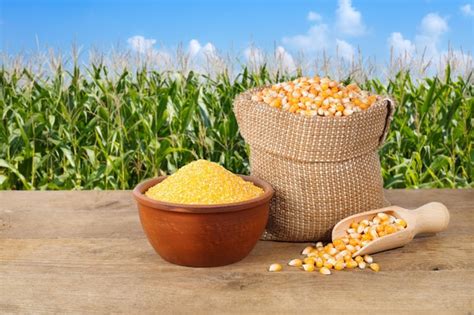 Premium Photo Maize On The Nature Background