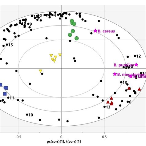 The Pls Biplot Describing The Correlation Among The Phytochemical