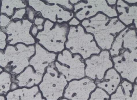 铸态组织 知名百科