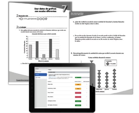 Successmaker Perfect Purity