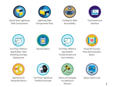 Pooja Thakur On Linkedin Appycrownlearning Trailhead Salesforcedeveloper