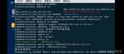 虚拟机 麒麟海光 达梦数据库linux 安装教程 海光服务器光盘安装麒麟系统 csdn博客