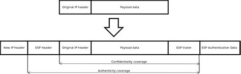 Ipsec Routeros Mikrotik Documentation