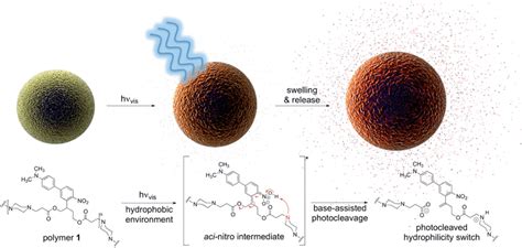 In Vivo Visible Light Triggered Drug Release From An Implanted Depot Chemical Science Rsc