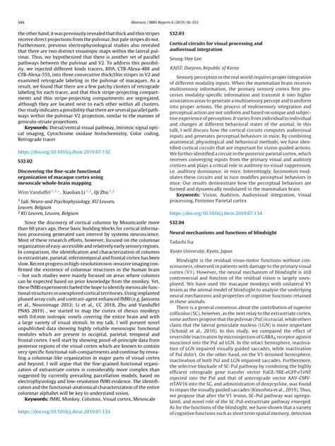 Pdf Discovering The Fine Scale Functional Organization Of Macaque