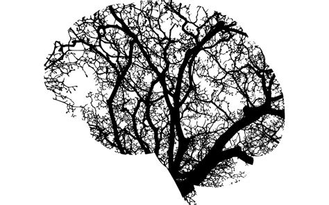 Mieux Comprendre Lintelligence Artificielle La Fibre 64