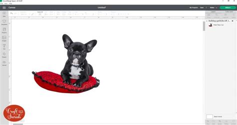 Cricut Design Space Background Removal Tool How To Use It How Well Does It Work Craft With