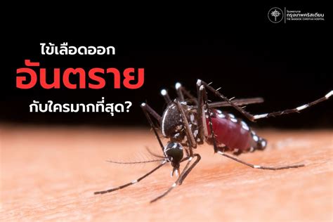 โรงพยาบาลกรุงเทพคริสเตียน เป็น ไข้เลือดออก อย่าวางใจ 🦟 5 กลุ่มเสี่ยงนี้ ต้องระวังเป็นพิเศษ