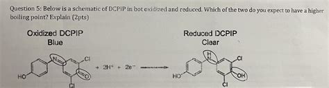 Solved Question 5 Below Is A Schematic Of Dcpip In Both