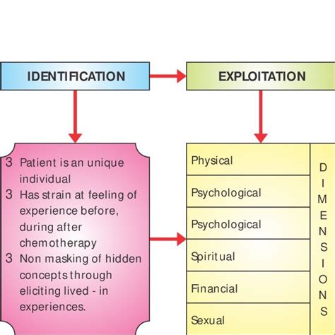 Conceptual Framework Modified Peplaus Nurse Patient Interaction