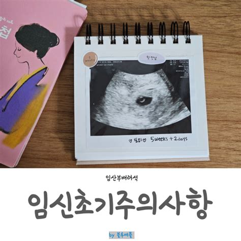 임신초기 주의사항 조심해야할것 임신초기술 괜찮나 네이버 블로그