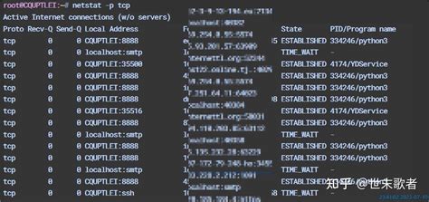 Linux查看系统各种信息的常用命令 CPU内存进程网口磁盘硬件等等 知乎