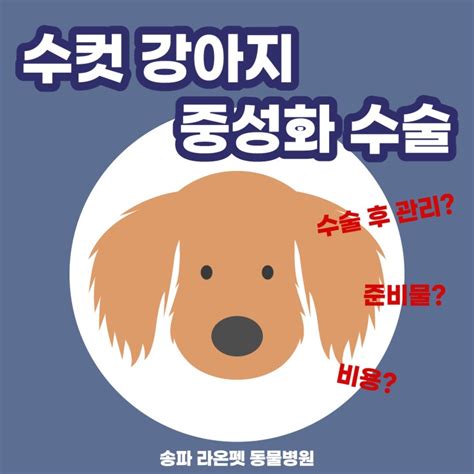 수컷 강아지 중성화 수술 후 관리 준비물 비용정보ㅇ 네이버 블로그