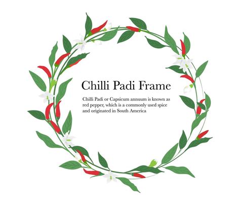 Chili And Leaf Branch In Crown Frame Background 46608636 Vector Art At