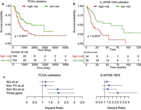 The Performance Of The Stratification Based On The Three Gene Signature
