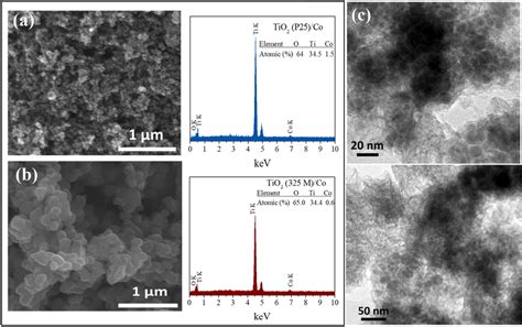 sem image and edax spectrum of a tio2 p25 co nps and b