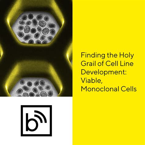 Celllinedevelopment Biologics Cellhealth Cellbiology Octet