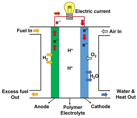 Fuel Cells Notes Pdf At Katie Butters Blog