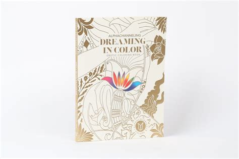DREAMING IN COLOR Erotic Coloring Book By Alphachanneling Alphacoloring Vol 2 Etsy