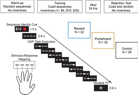 Experimental Design Participants Performed A Discrete Sequence Download Scientific Diagram