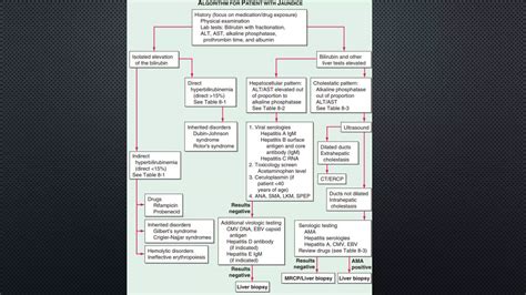 Acute Cholangitis Pptx