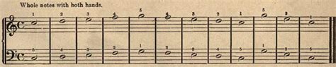 Bass Notes On The Piano Keyboard Jazz Piano Blues Piano Tips