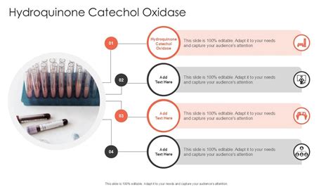 Hydroquinone Catechol Oxidase Ppt Example Cpp PPT PowerPoint