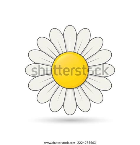 Daisy Cute Flower Simple Shadow Daisy Stock Vector Royalty Free Shutterstock