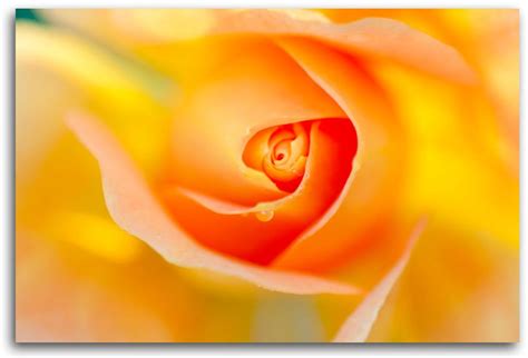 ПоЗдрави Био и здравословен магазин Обичаме лятото 🏖🌞🏝 Но с него