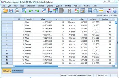 Provide Help With Spss Data Analysis And Interpretation By Gicemi Fiverr