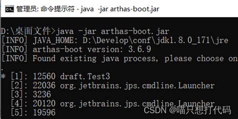 java 诊断工具 arthas boot 安装步骤及常用命令 csdn博客
