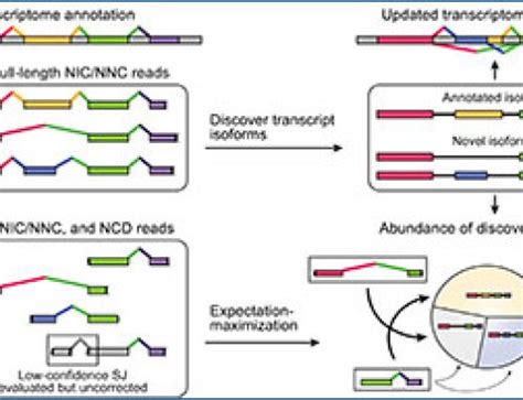 Arh Seq Identification Of Differential Splicing In Rna Seq Data Rna