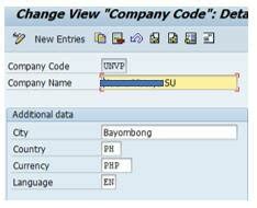 Creation Of Company Code Download Scientific Diagram