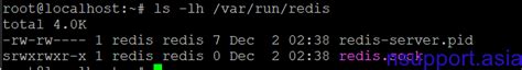 Hướng Dẫn Cài đặt Redis Trên Ubuntu 20 04 How To N Support
