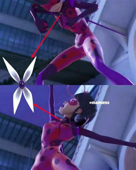 Whattttttttttt Miraculous Ladybug Anime Miraculous Ladybug Wallpaper