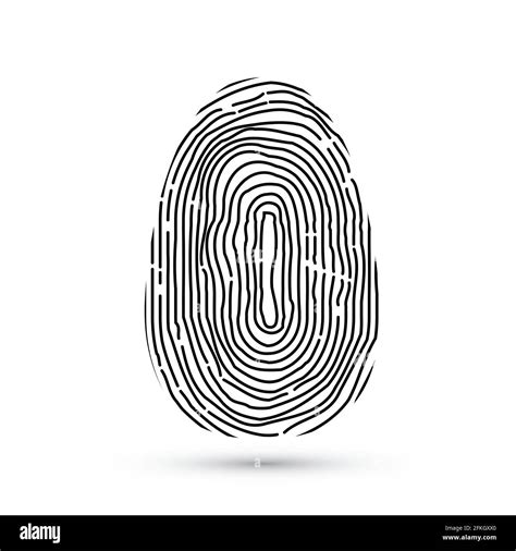 Fingerprint Vector Icon Isolated On Write With Shadow Security Access
