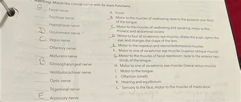 Solved Thing Match The Cranial Nerve With Its Main Chegg Com