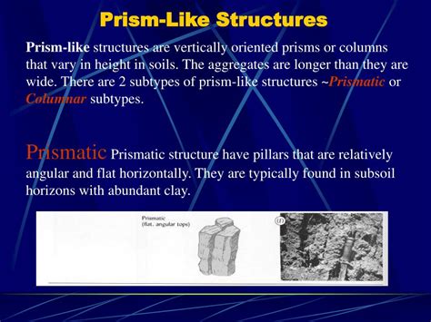 Ppt Soil Physical Properties Powerpoint Presentation Free Download