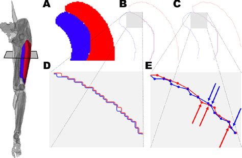 Figure 1 From An Automated Process For 2d And 3d Finite Element