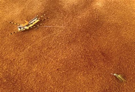 Dry Dropper Rig And Marriage Do You Know Which Fly You Are