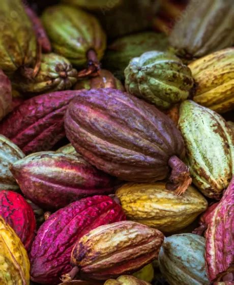 New Food System Transformation Framework Integrates Food System