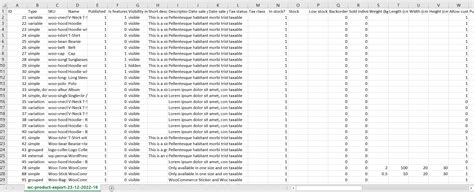 WooCommerce Product Export Function Doesnt Work WordPress Org