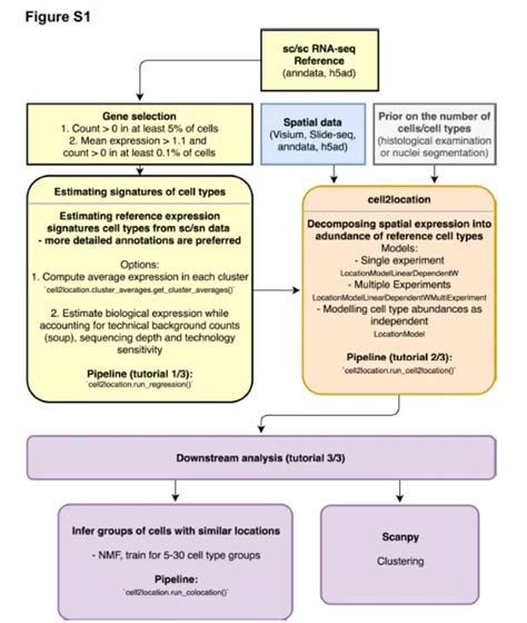 10x单细胞和空间联合分析的方法 Cell2location Csdn博客