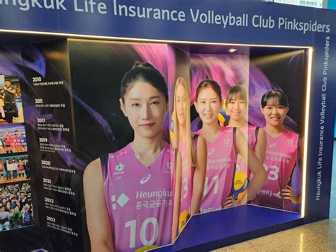 배구 6인제 포지션 자리 번호 경기 규칙 용어 네이버 블로그