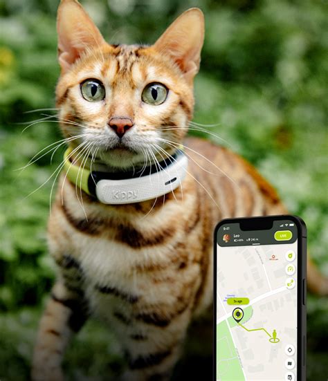 Kippy Cat Gps Activity Tracking Per Gatti Kippy