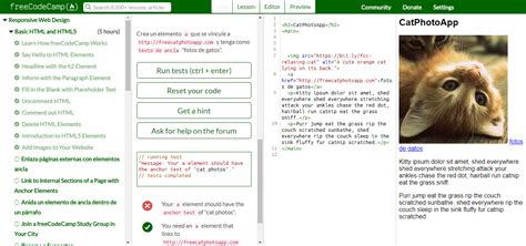 Code Validations On Translations · Issue 17073 · Freecodecamp