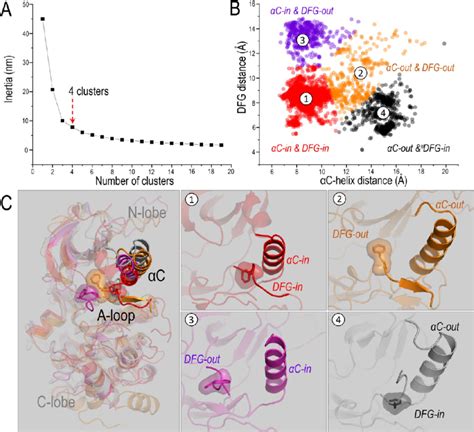 Kinase Structural Landscape From Kinase Drug Complexes A The Elbow Download Scientific