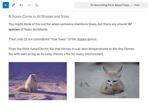How To Add And Align Images In WordPress Block Editor Gutenberg
