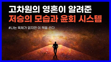 사후세계의 경험이 사람마다 다른 결정적인 이유｜육체가 없지만 나는 이 책을 쓴다 Youtube